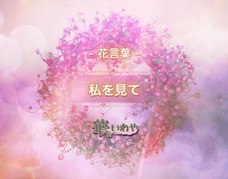 「私を見て」の花言葉を持つ花とは?似た花言葉を持つ花まで徹底解説 華のいわや